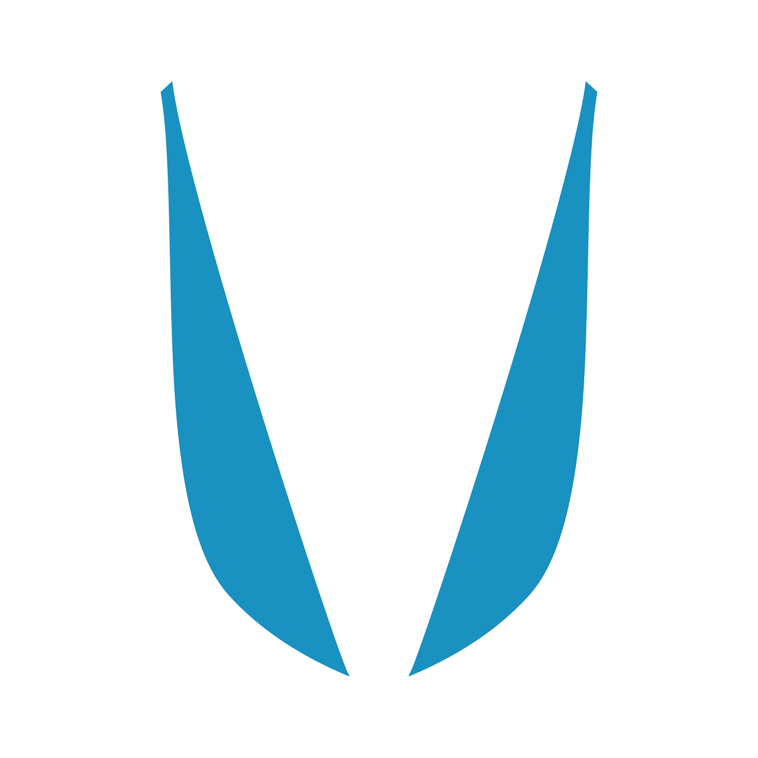 2014-2019 Corvette Fang Overlay - 2Pc - Gloss Tension Blue | Corvette ...